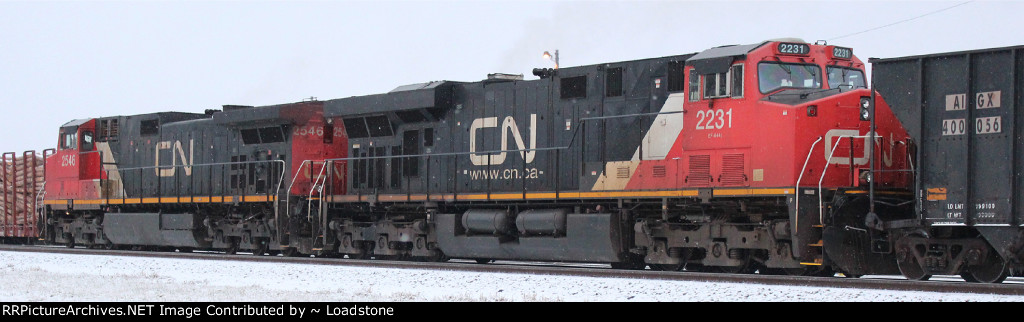 CN 2231
